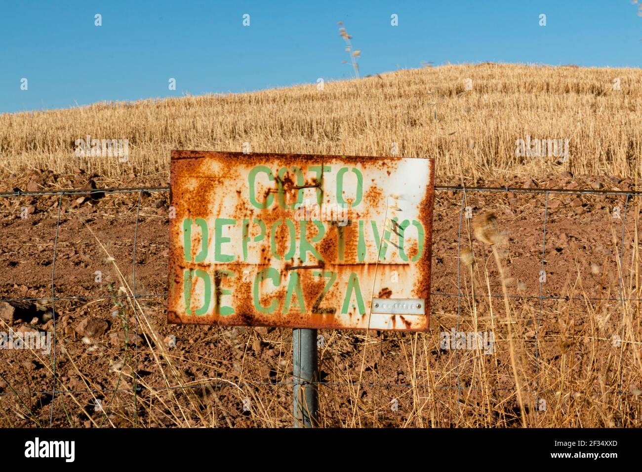 Hunter field rifle arm hi-res stock photography and images - Alamy