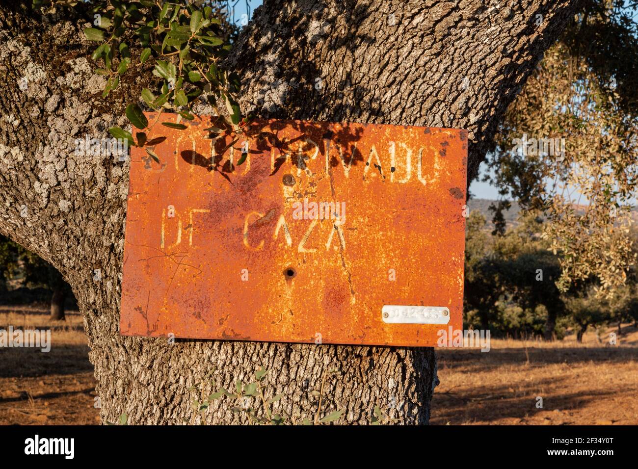 Hunter field rifle arm hi-res stock photography and images - Alamy
