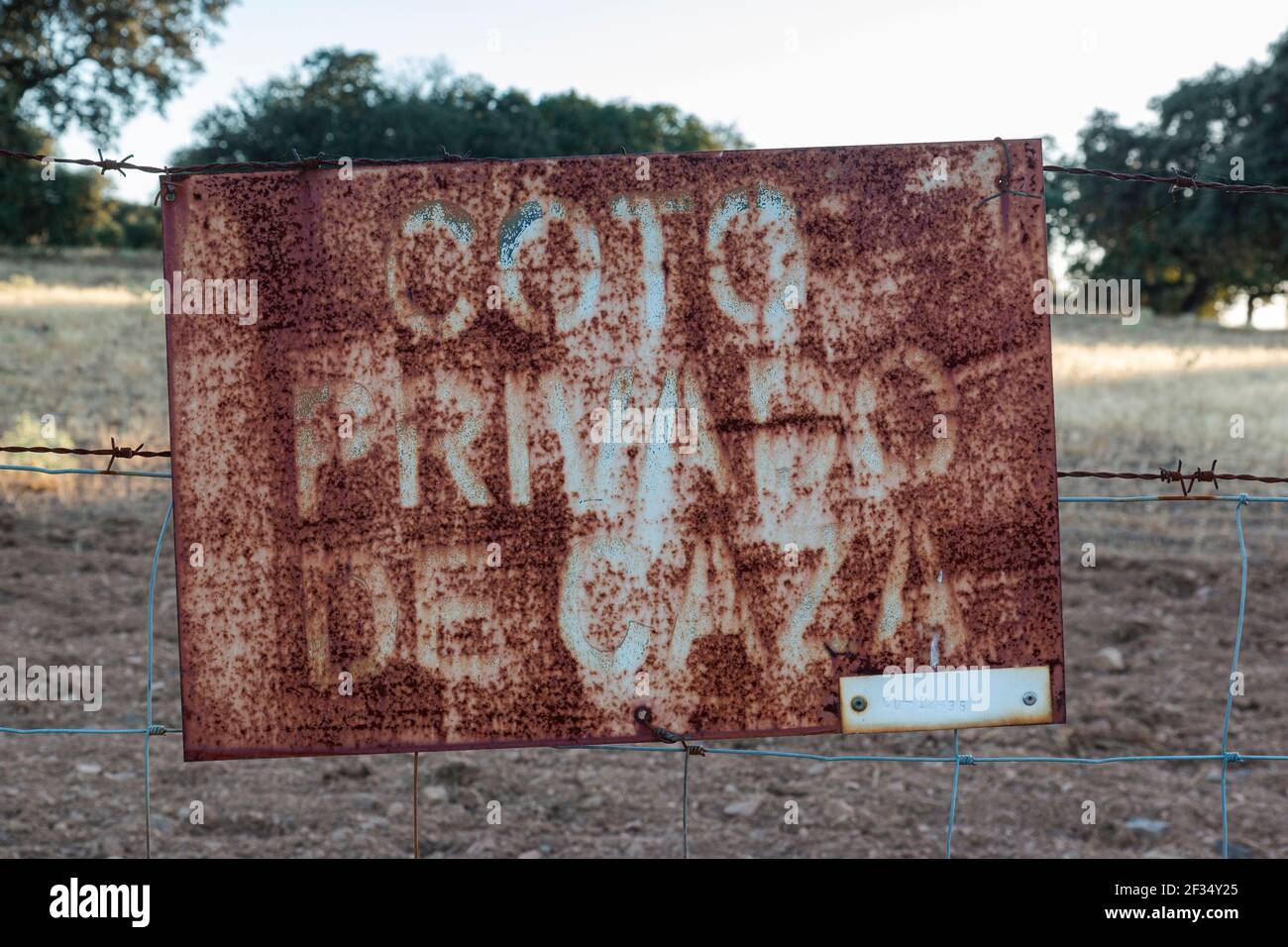 Hunter field rifle arm hi-res stock photography and images - Alamy