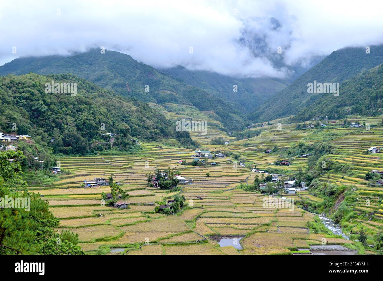 Philippines, rice terraces in the valley Hapao, Banaue Stock Photo - Alamy