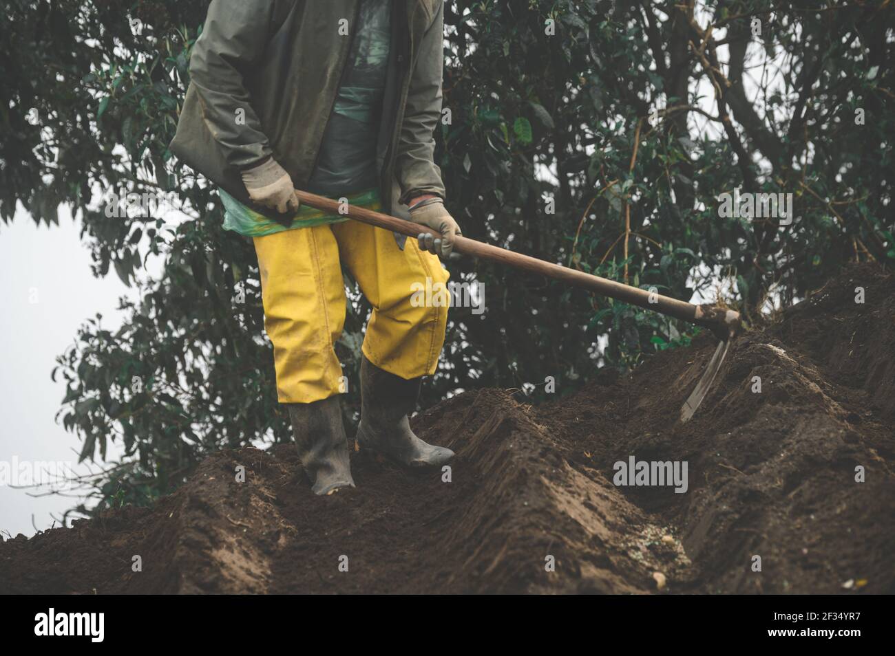 A farmer on a potato field working with a hoe - organic farming concept ...