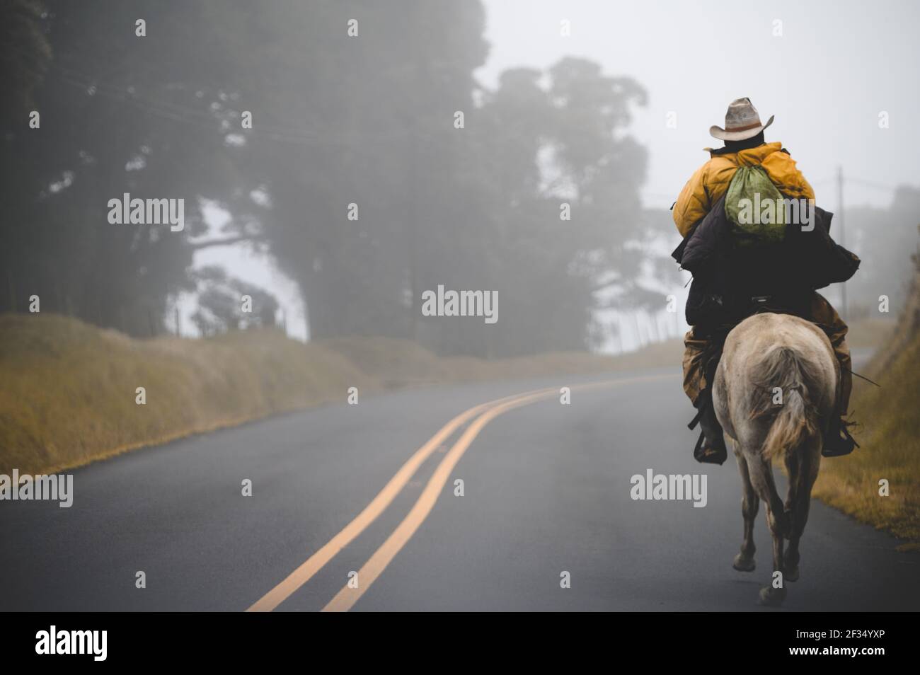 A back view of the male riding horse on a rural road Stock Photo - Alamy