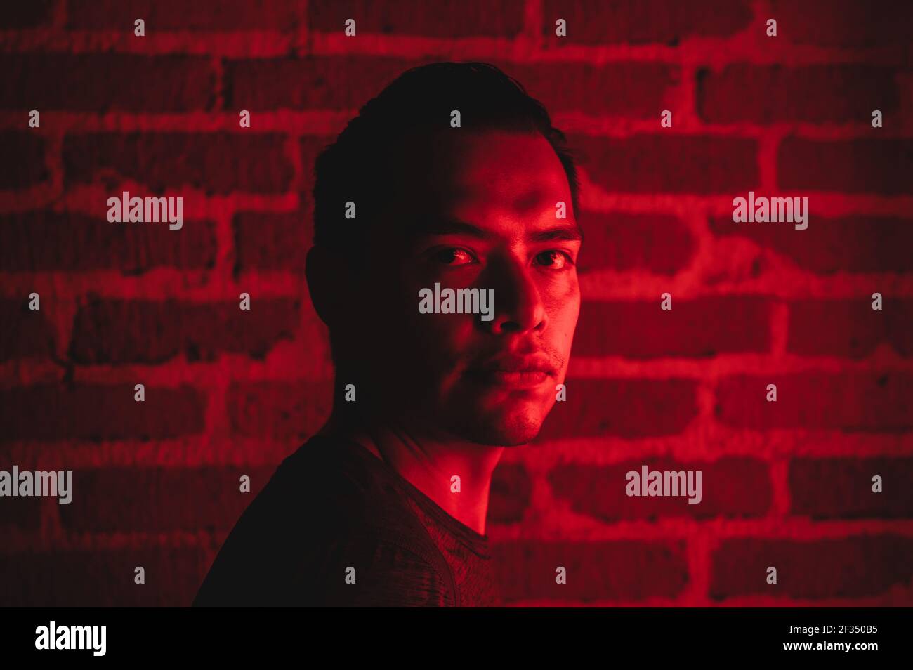 A handsome Hispanic male posing on a brick wall background with red ...