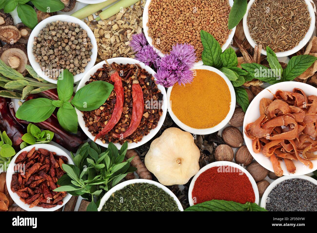 Herb and spice colorful abstract background with fresh & dried herbs ...