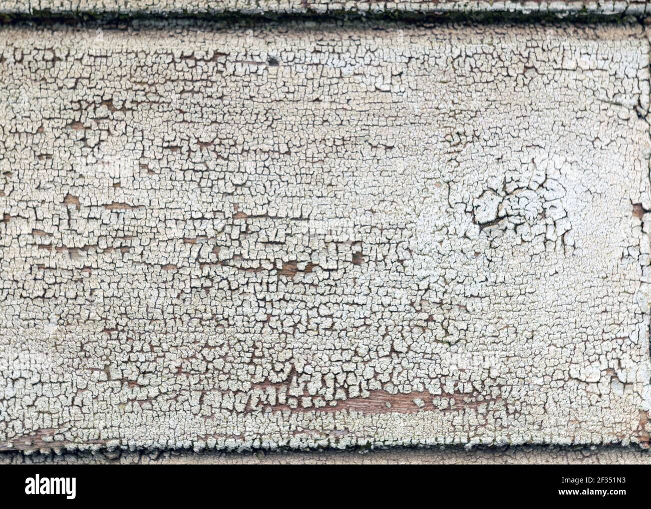 abstract image with old color texture on old wooden board wall ...