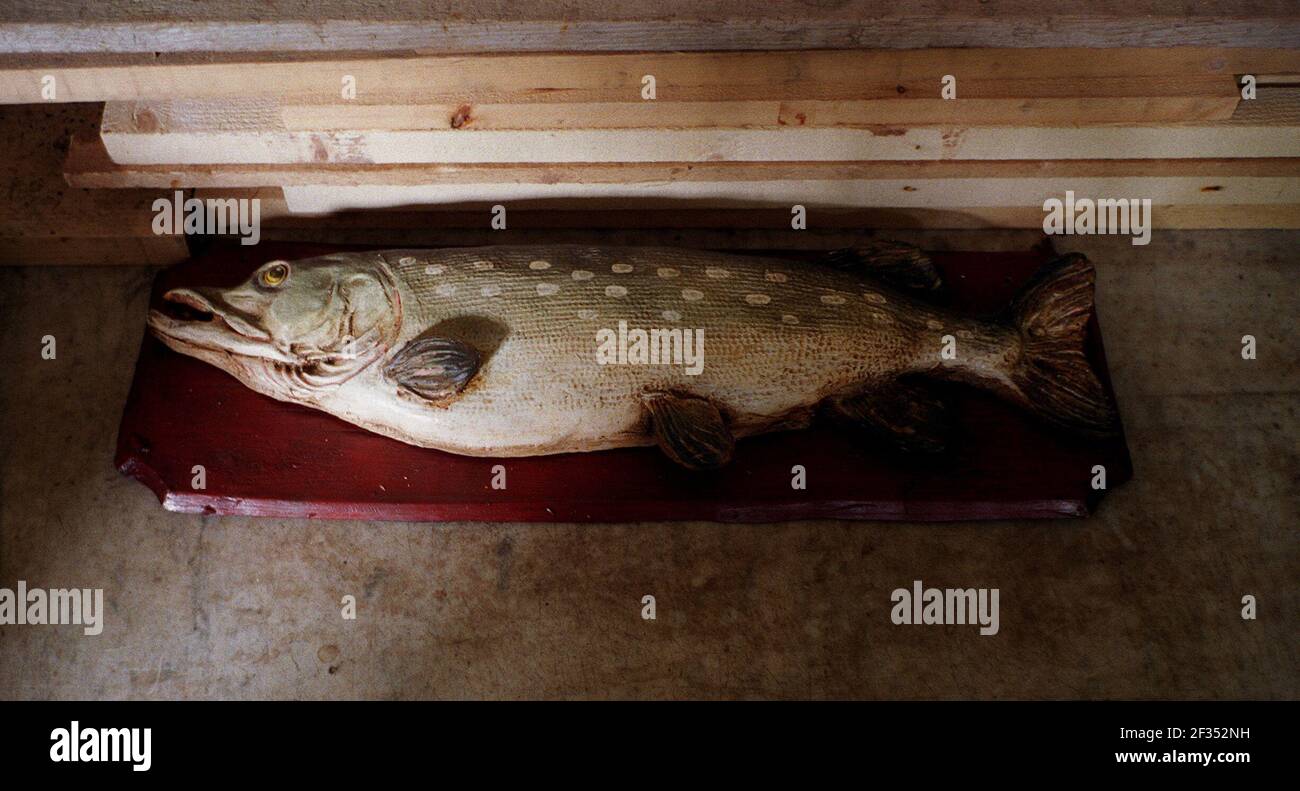 A wooden fish on the floor in the fishing hut on the Bigsweir Fishery ...