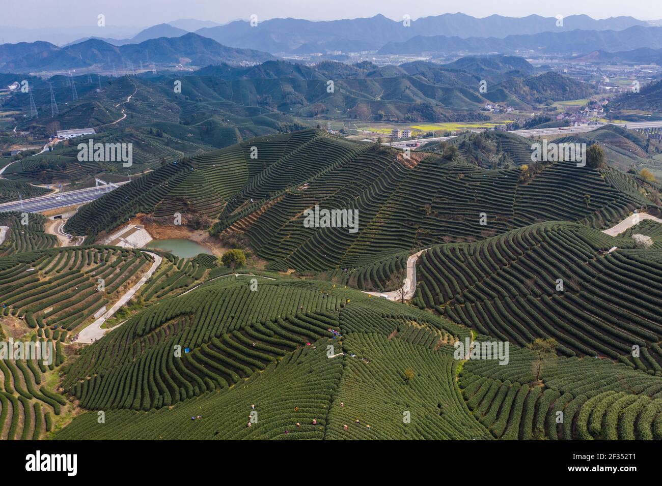 Live streaming china hangzhou hi-res stock photography and images - Alamy