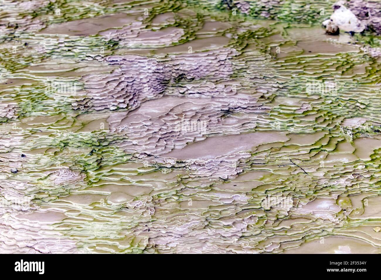 Silica sinter deposits hi-res stock photography and images - Alamy