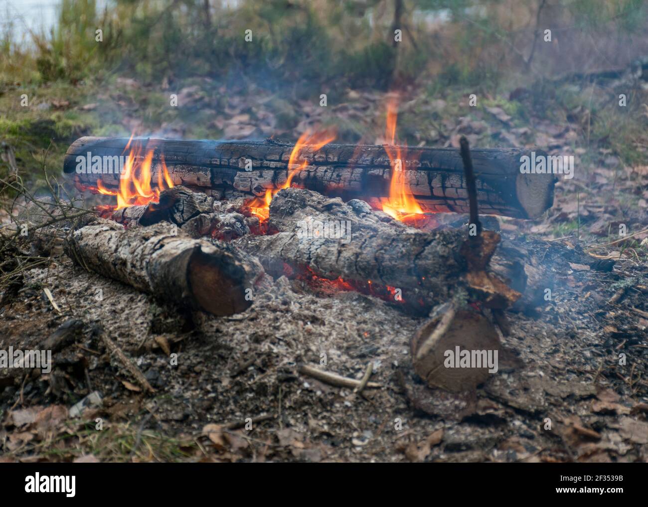 landscape with a burning campfire on the lake shore, glowing wooden ...