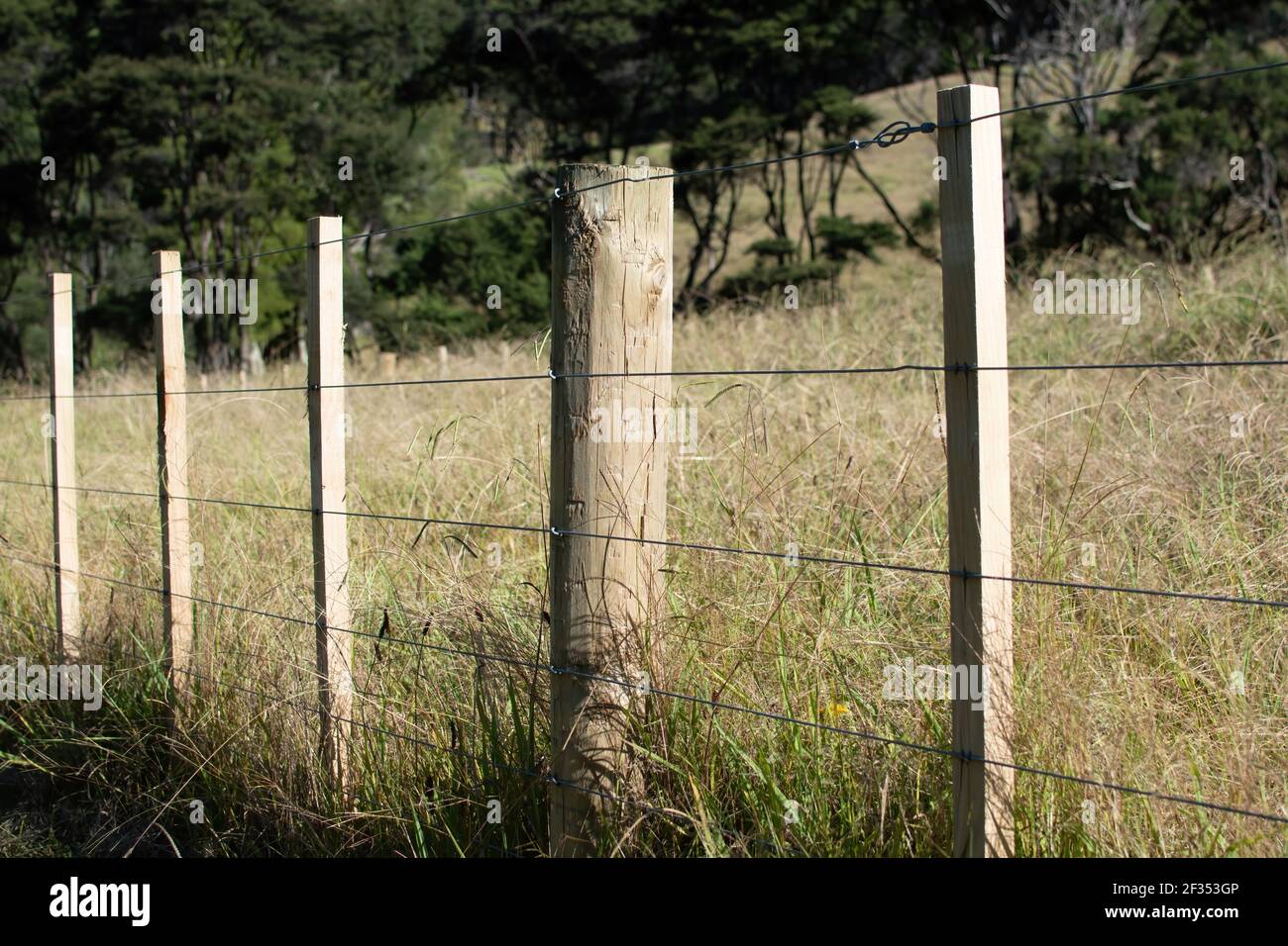 View of wire boundary farm fence with wooden posts Stock Photo - Alamy