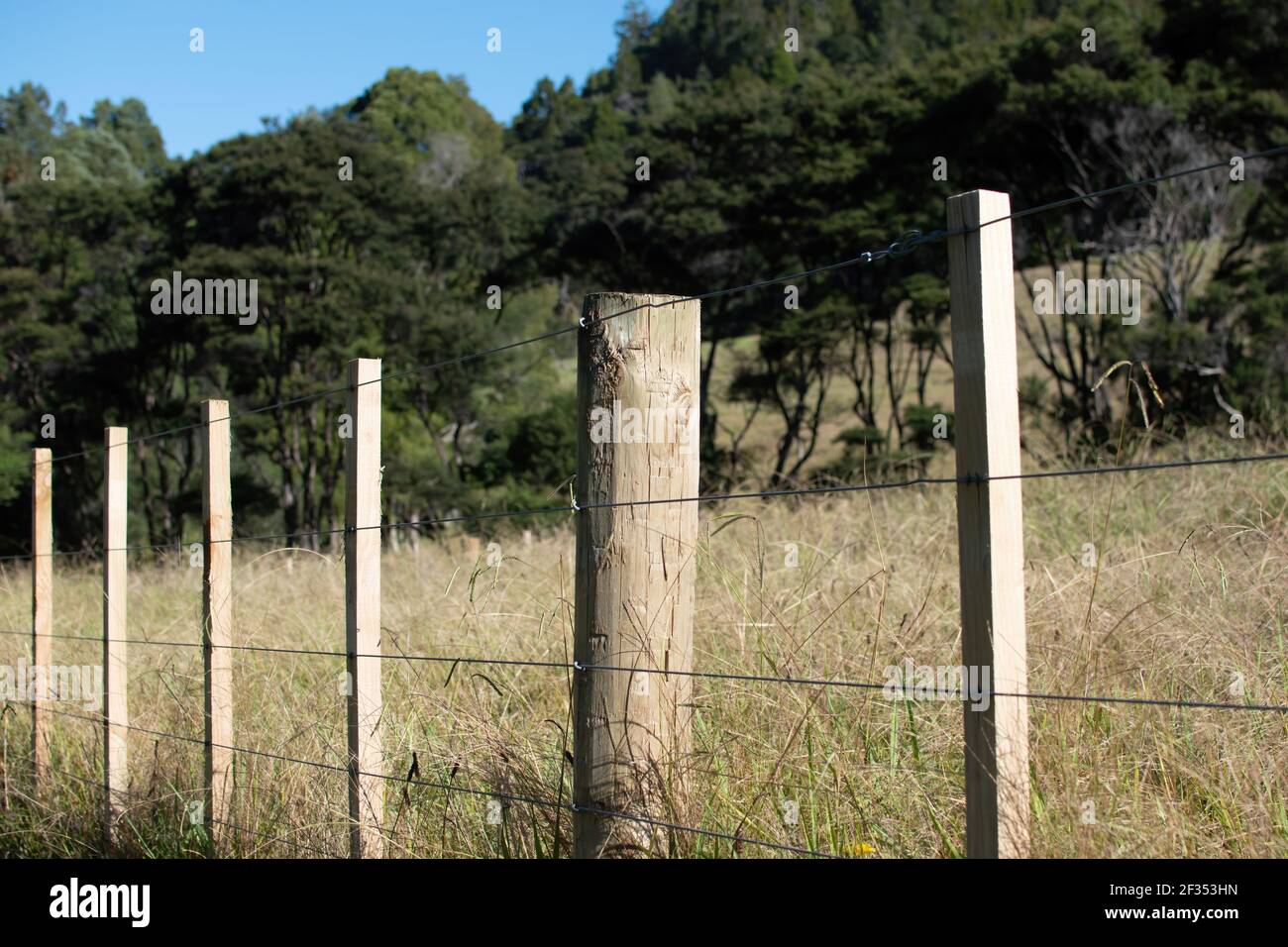 View of wire boundary farm fence with wooden posts Stock Photo - Alamy