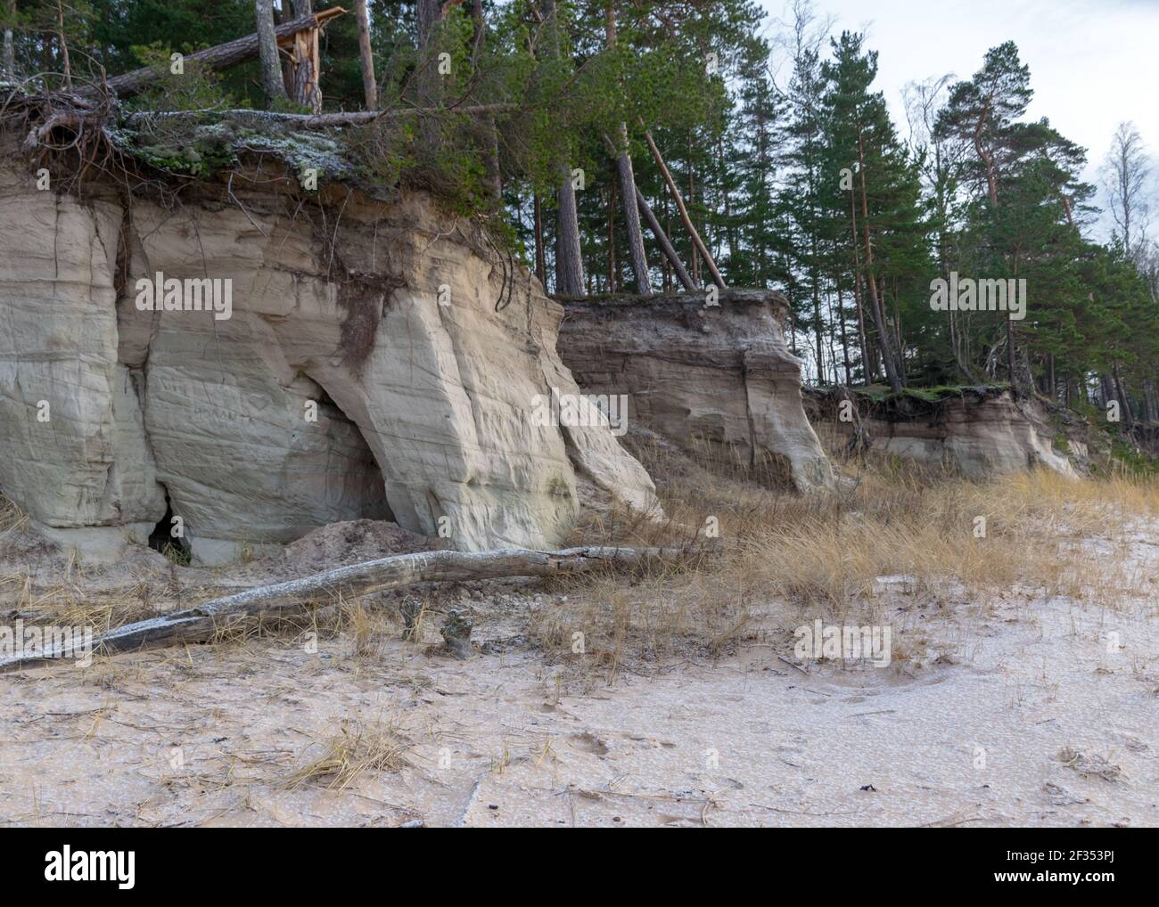 Land outcrops. The outcrops are mainly composed of fine-grained to ...