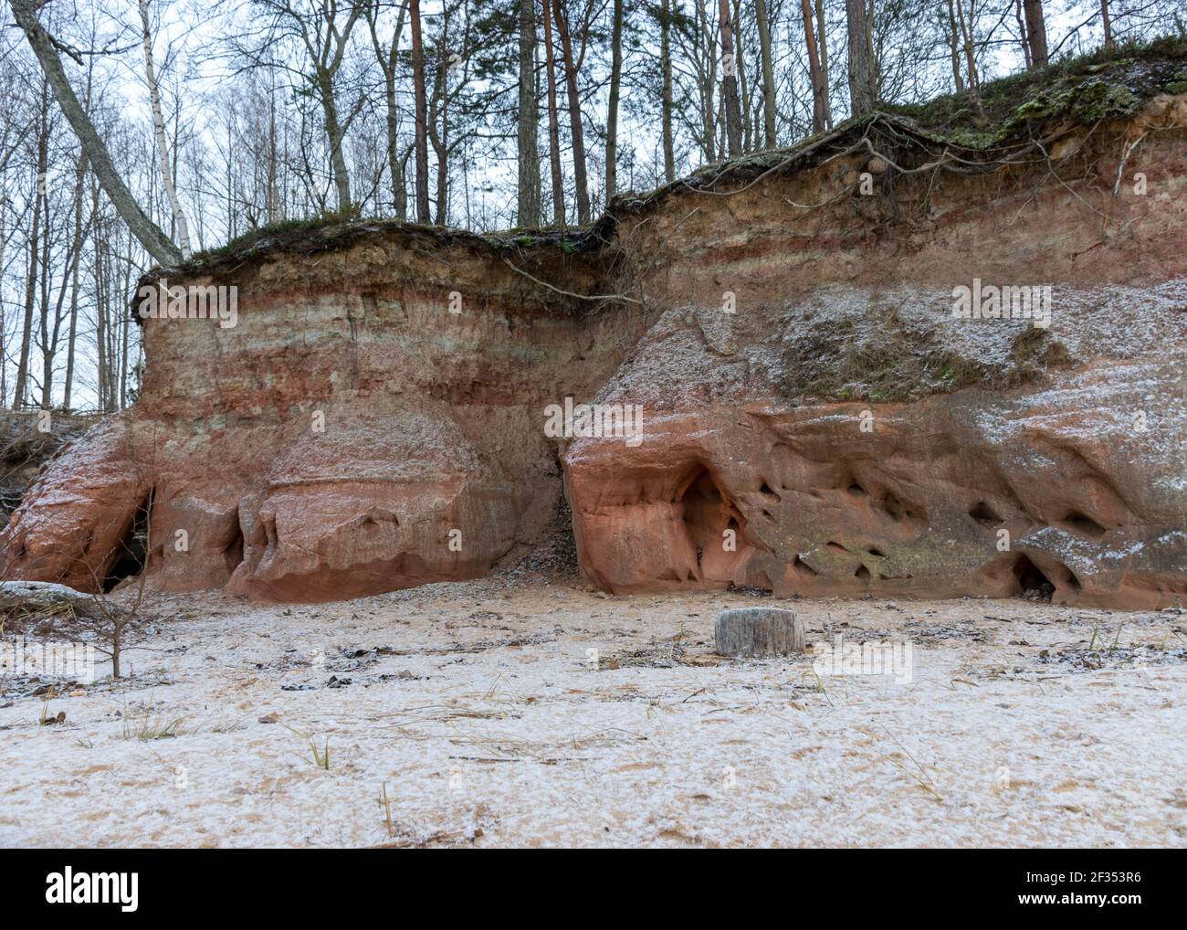 Sea cliff with Devonian sandstone outcrops. During the storm, niches ...