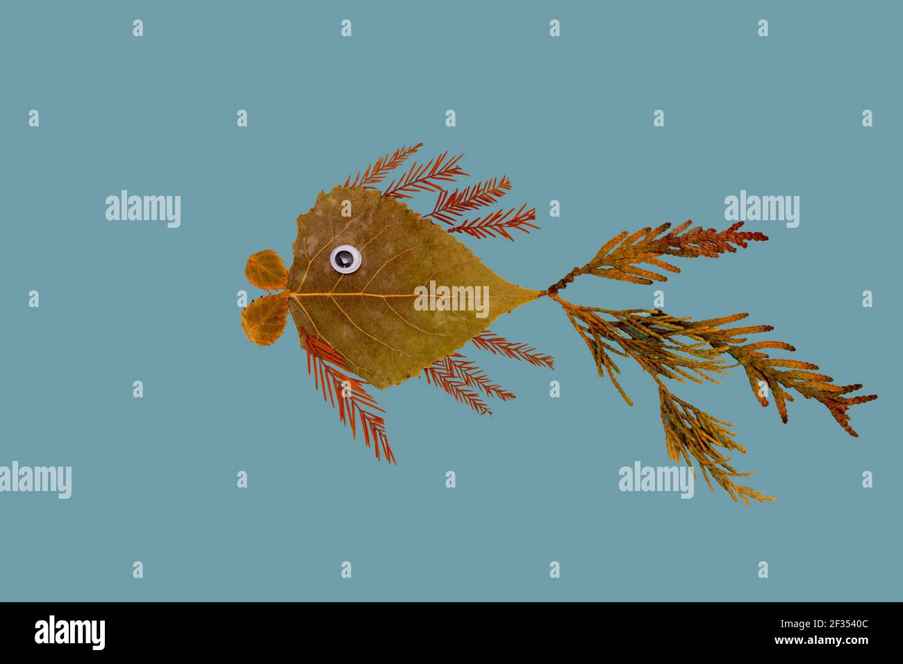 Fish art diy hi-res stock photography and images - Alamy