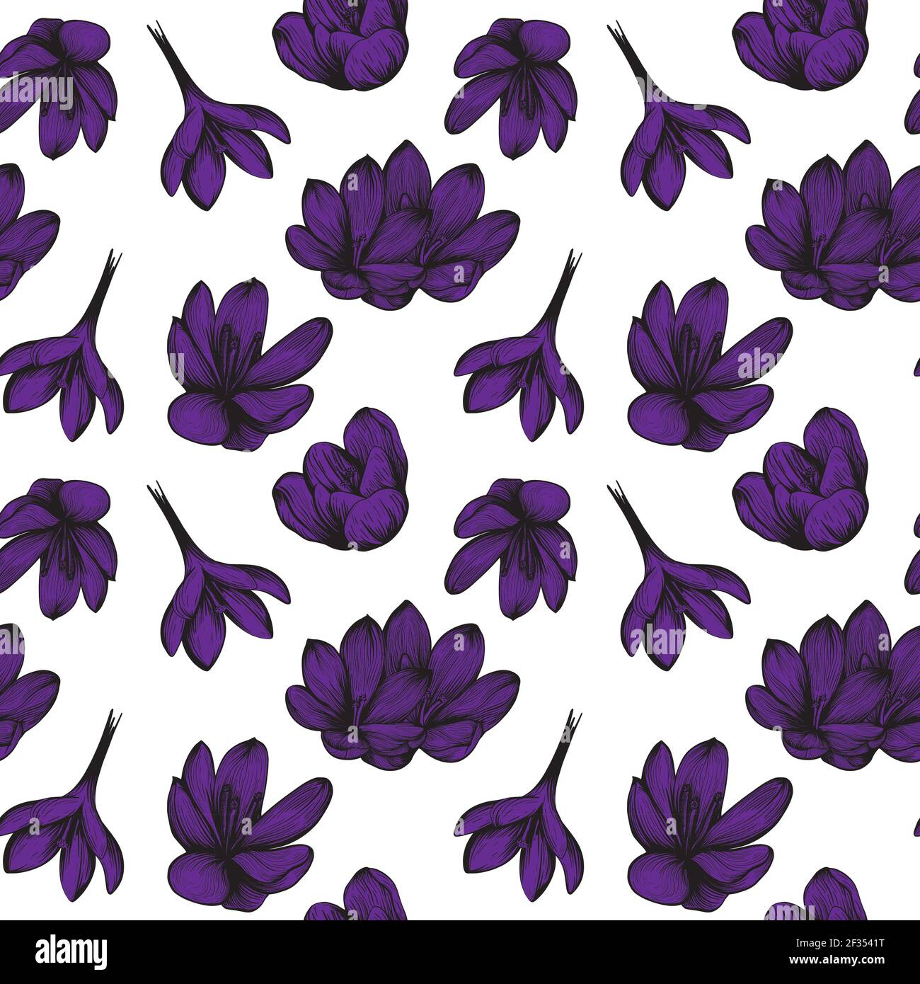 Floral saffron Stock Vector Images - Alamy