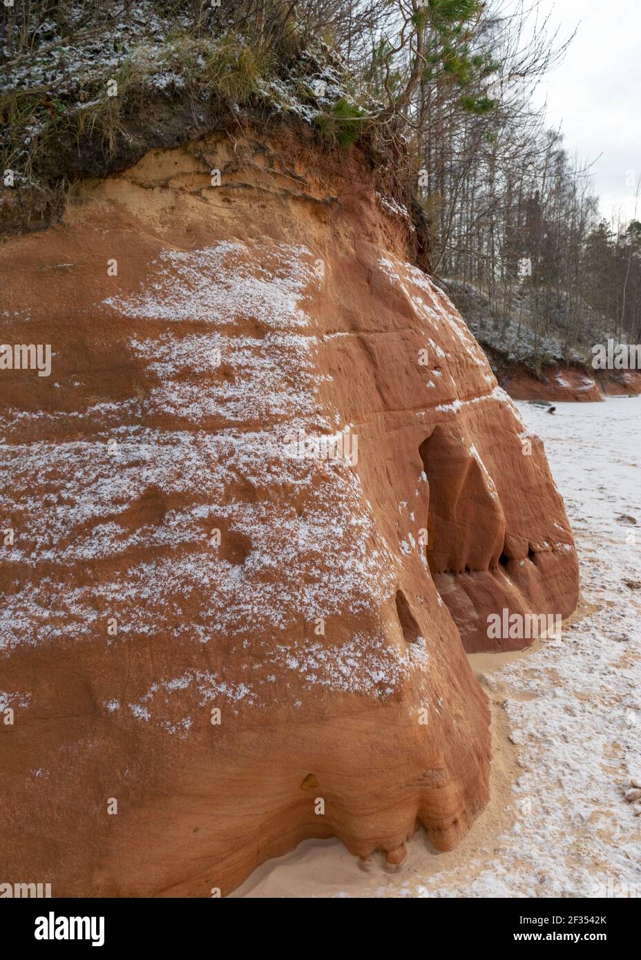 Sea cliff with Devonian sandstone outcrops. During the storm, niches ...