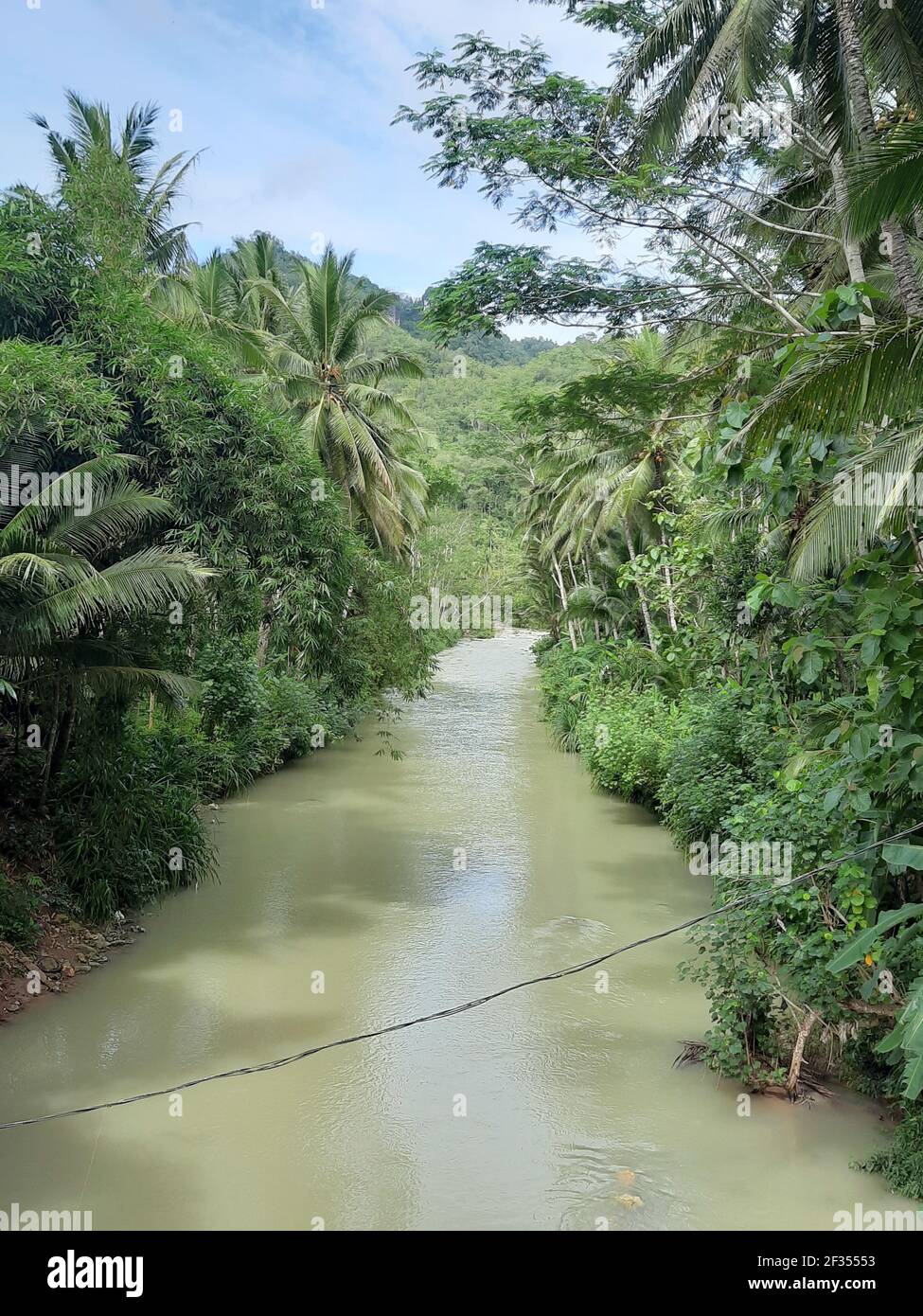 A green brown river flanked from tropical rain forest trees in Gunung ...