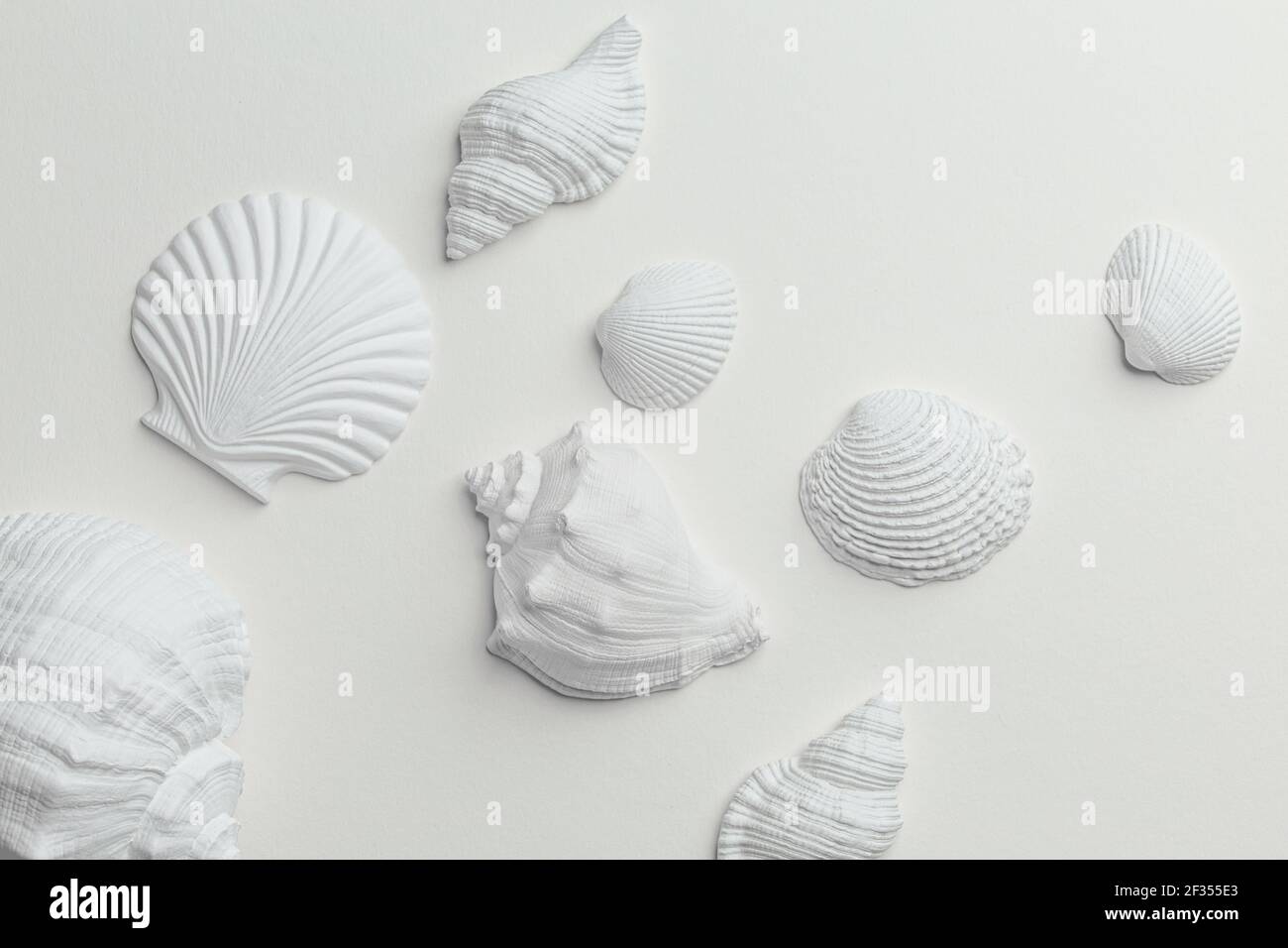 Assorted white seashells Stock Photo - Alamy