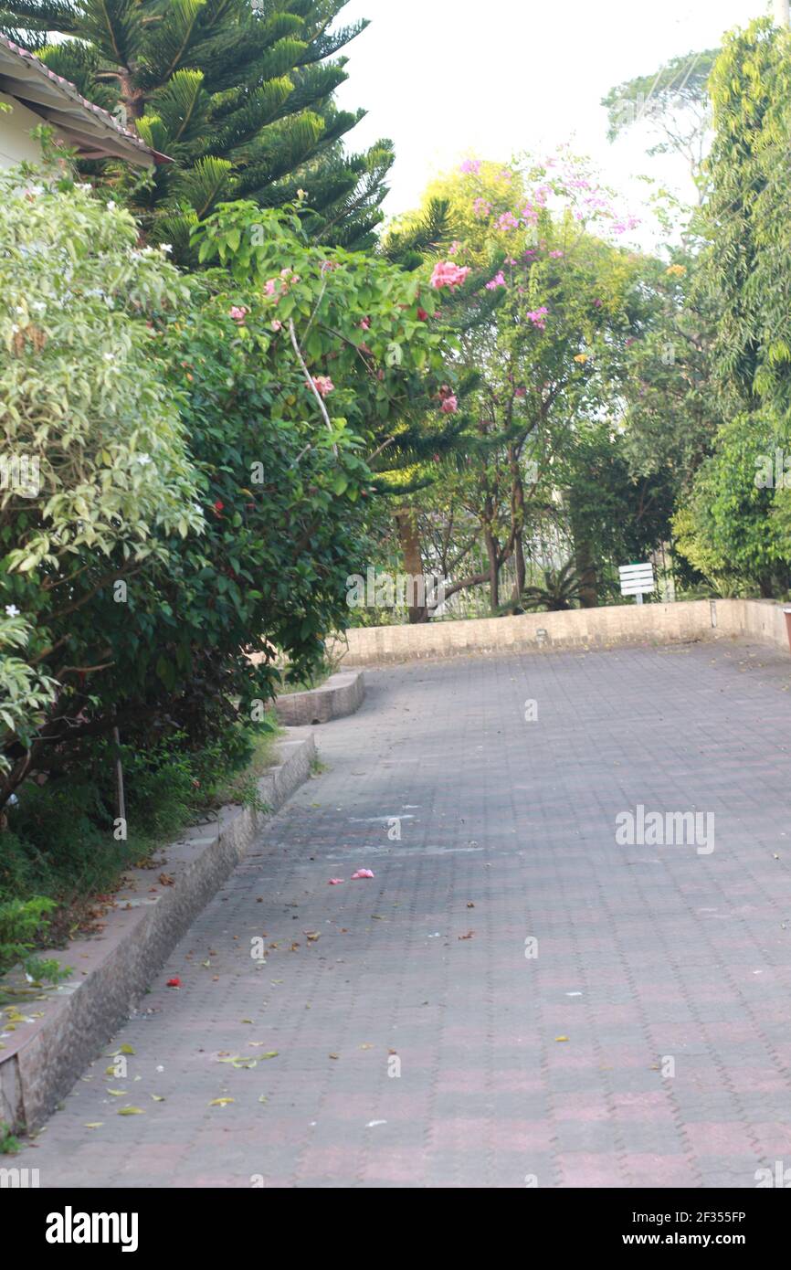 Coastal park singapore hi-res stock photography and images - Alamy