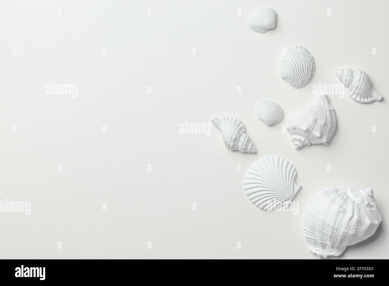 Assorted white seashells Stock Photo - Alamy