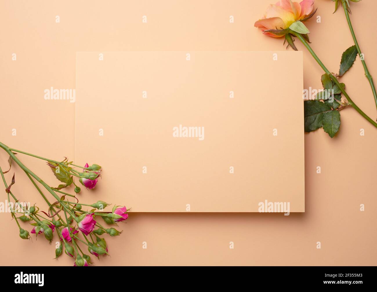 Spring floral background template Stock Photo - Alamy