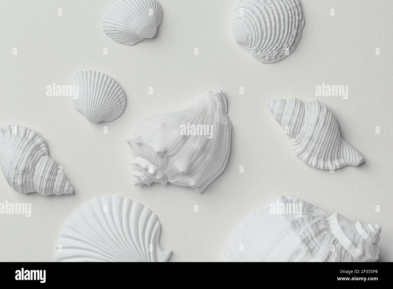 Assorted white seashells Stock Photo - Alamy