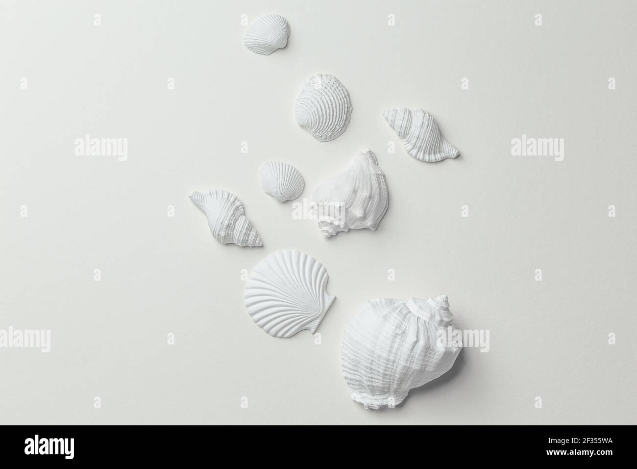 Assorted white seashells Stock Photo - Alamy