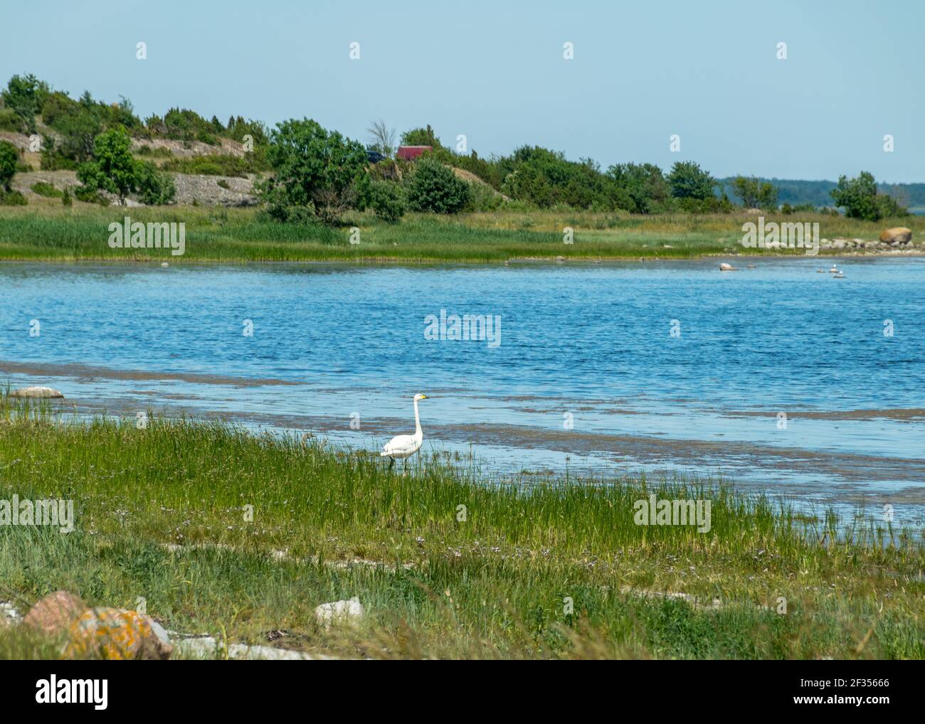landscape with traditional coastal view, Saaremaa Island, Estonia Stock ...