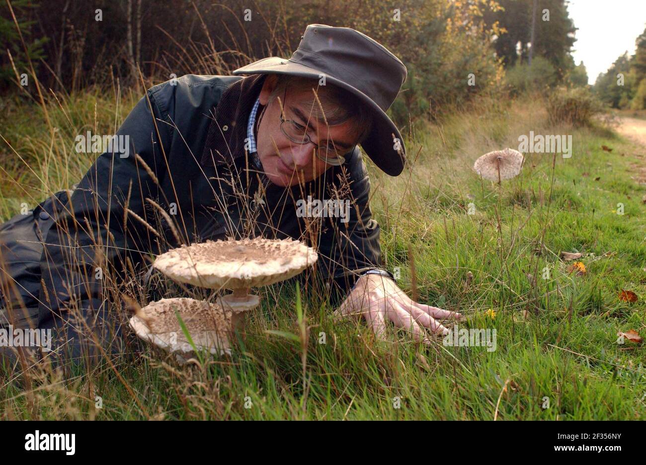 FUNGI EXPERT PETER MARREN LOOKING AT PARASOL MUSHROOMS IN THE NEW ...