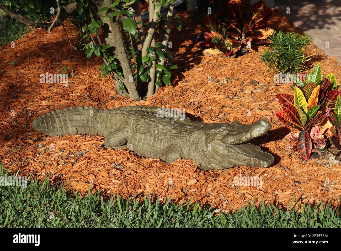 Alligator statue hi-res stock photography and images - Alamy