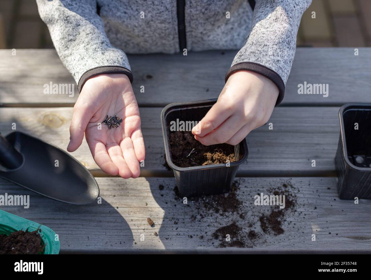 Child seed plant seed hi-res stock photography and images - Alamy