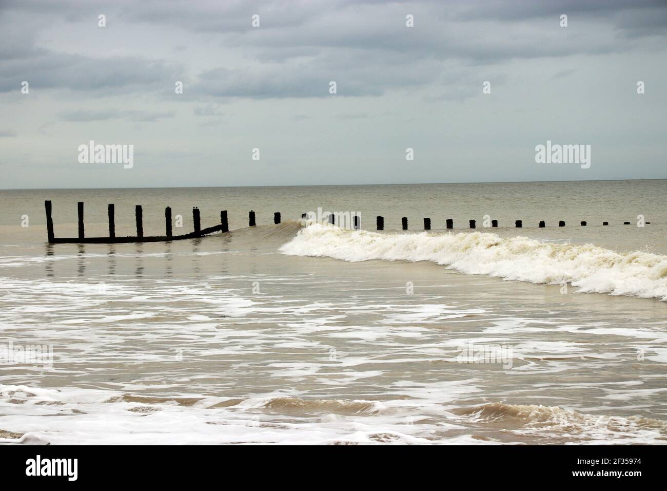 Groynes in the sea Stock Photo - Alamy