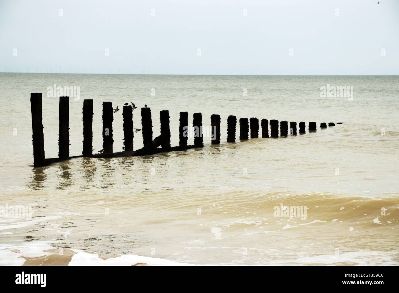 Groynes in the sea Stock Photo - Alamy