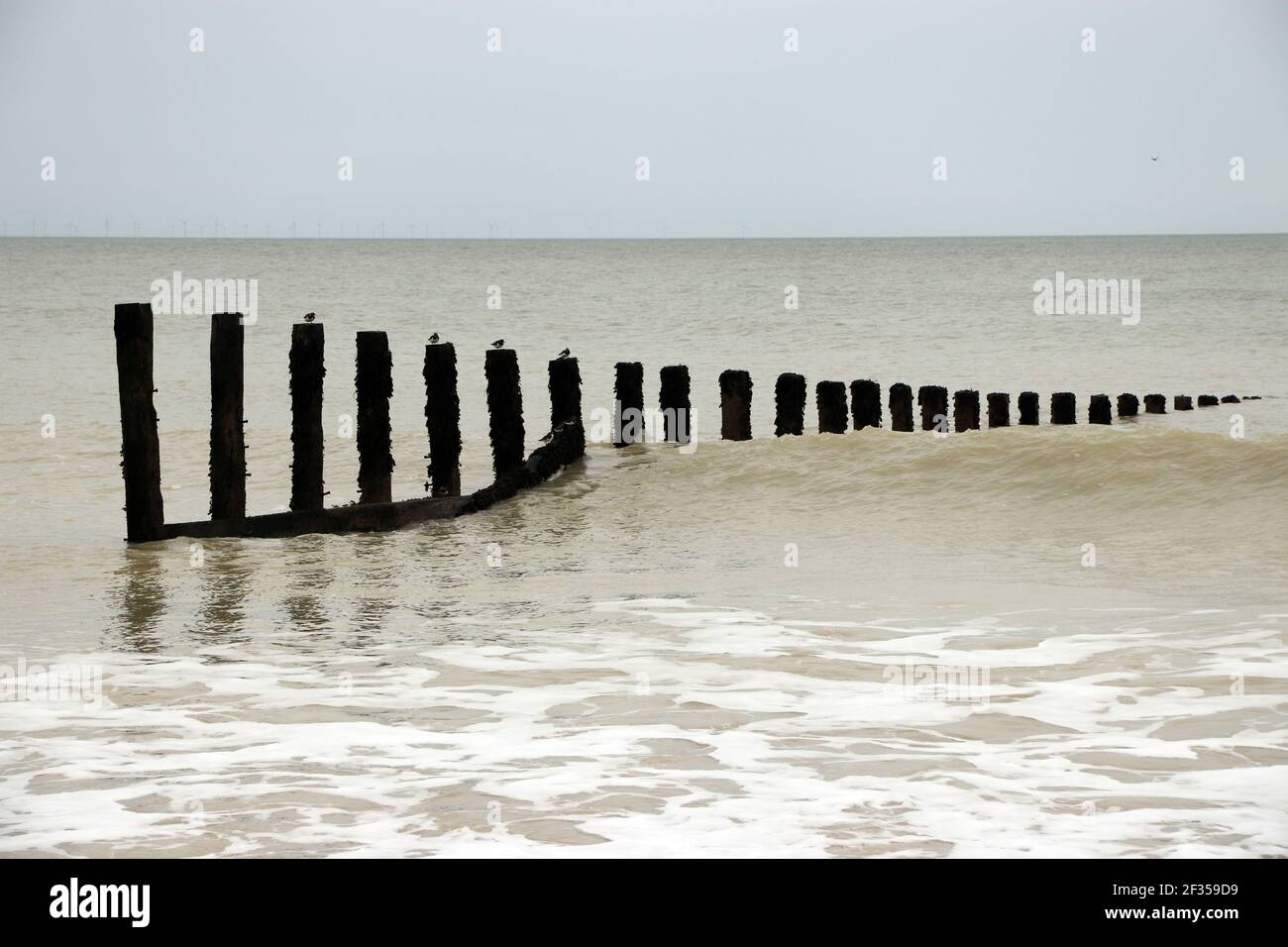 Groynes in the sea Stock Photo - Alamy