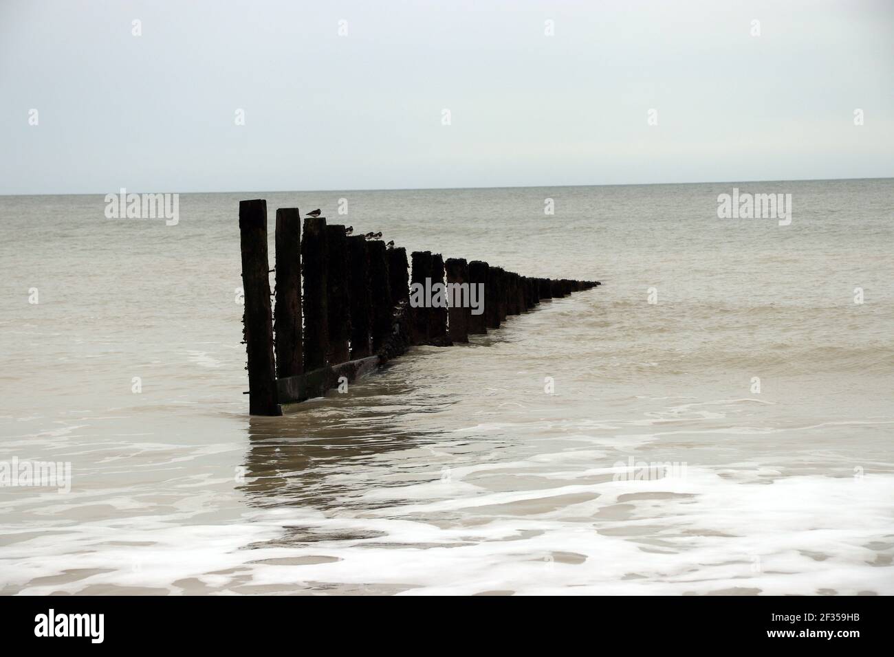 Groynes in the sea Stock Photo - Alamy