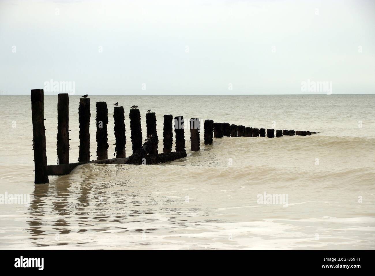 Groynes in the sea Stock Photo - Alamy