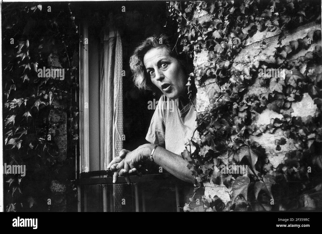 Germaine Greer Feminist writer Stock Photo - Alamy