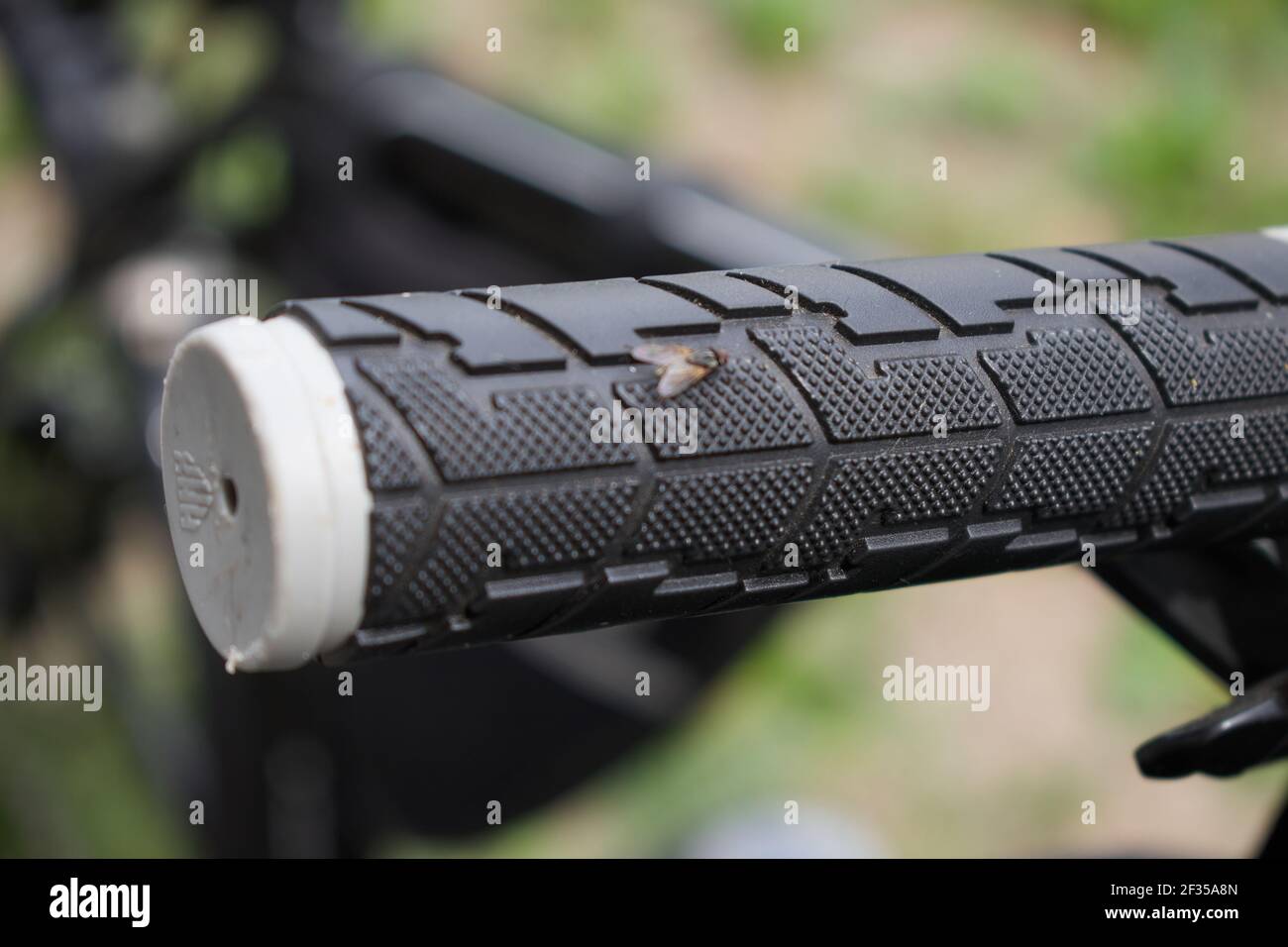 Bicycle handle with an insect on it Stock Photo - Alamy