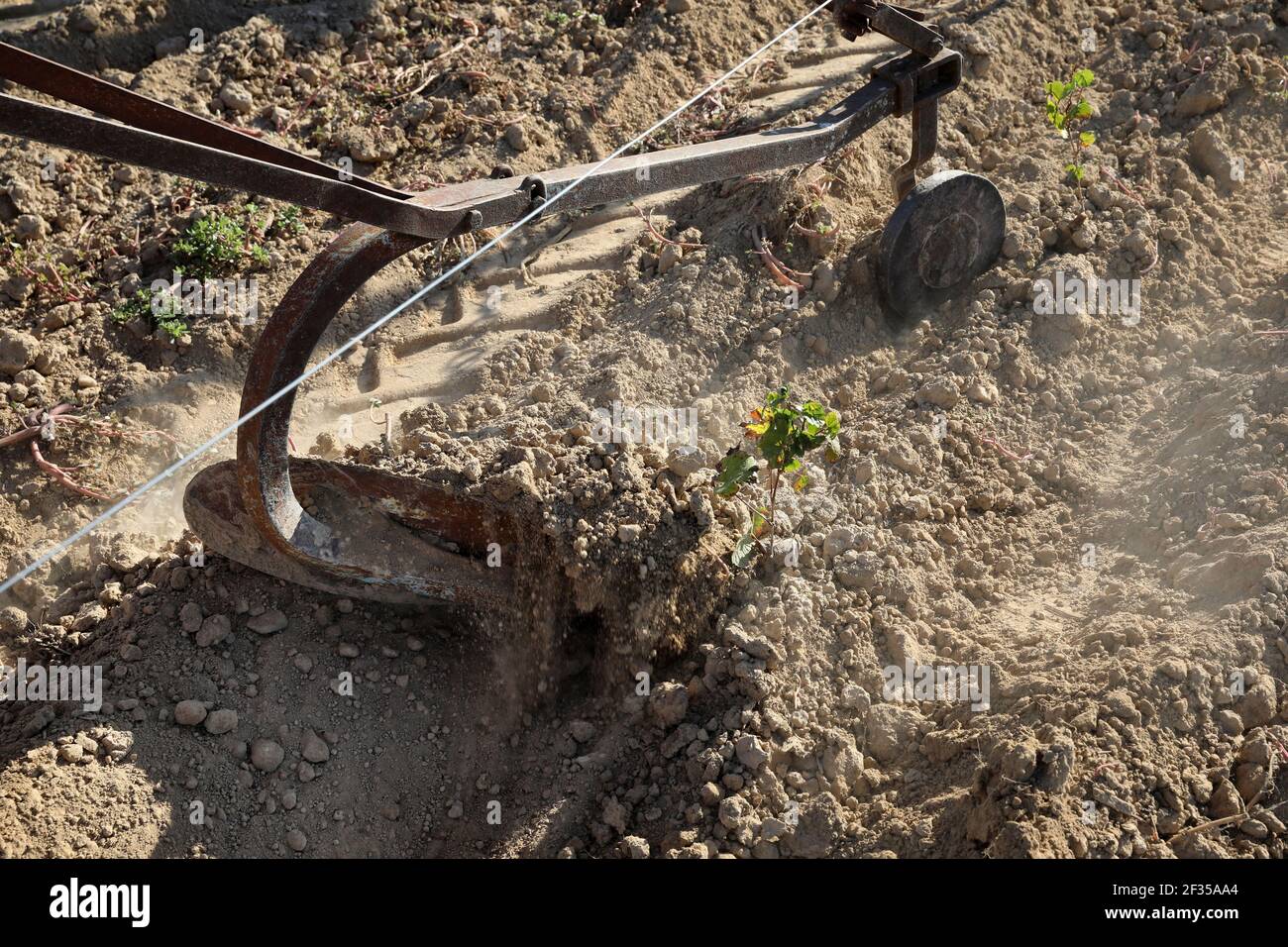 Working the soil the old-fashioned way, ancient eco friendly ...