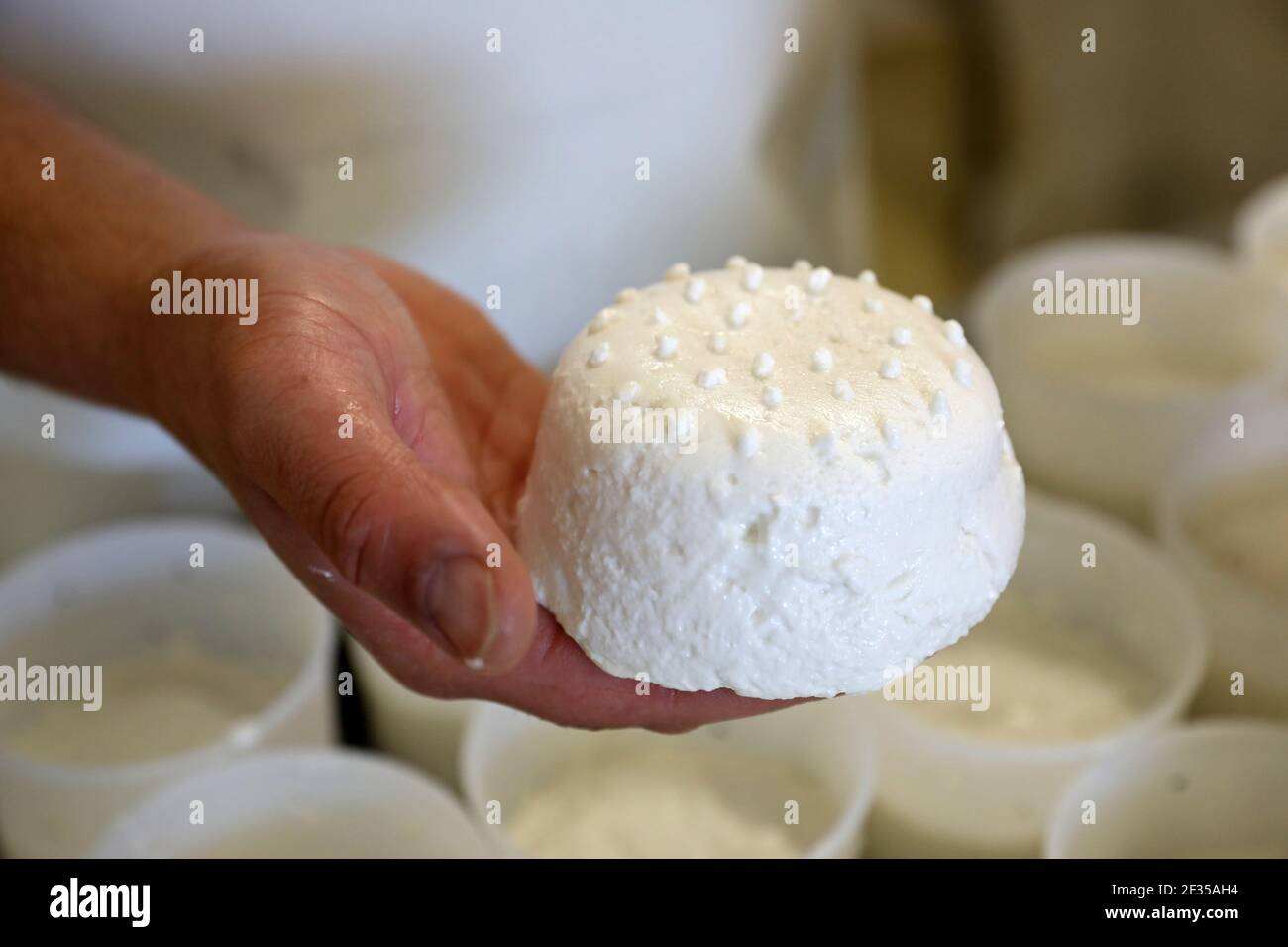 Home for goats hi-res stock photography and images - Alamy