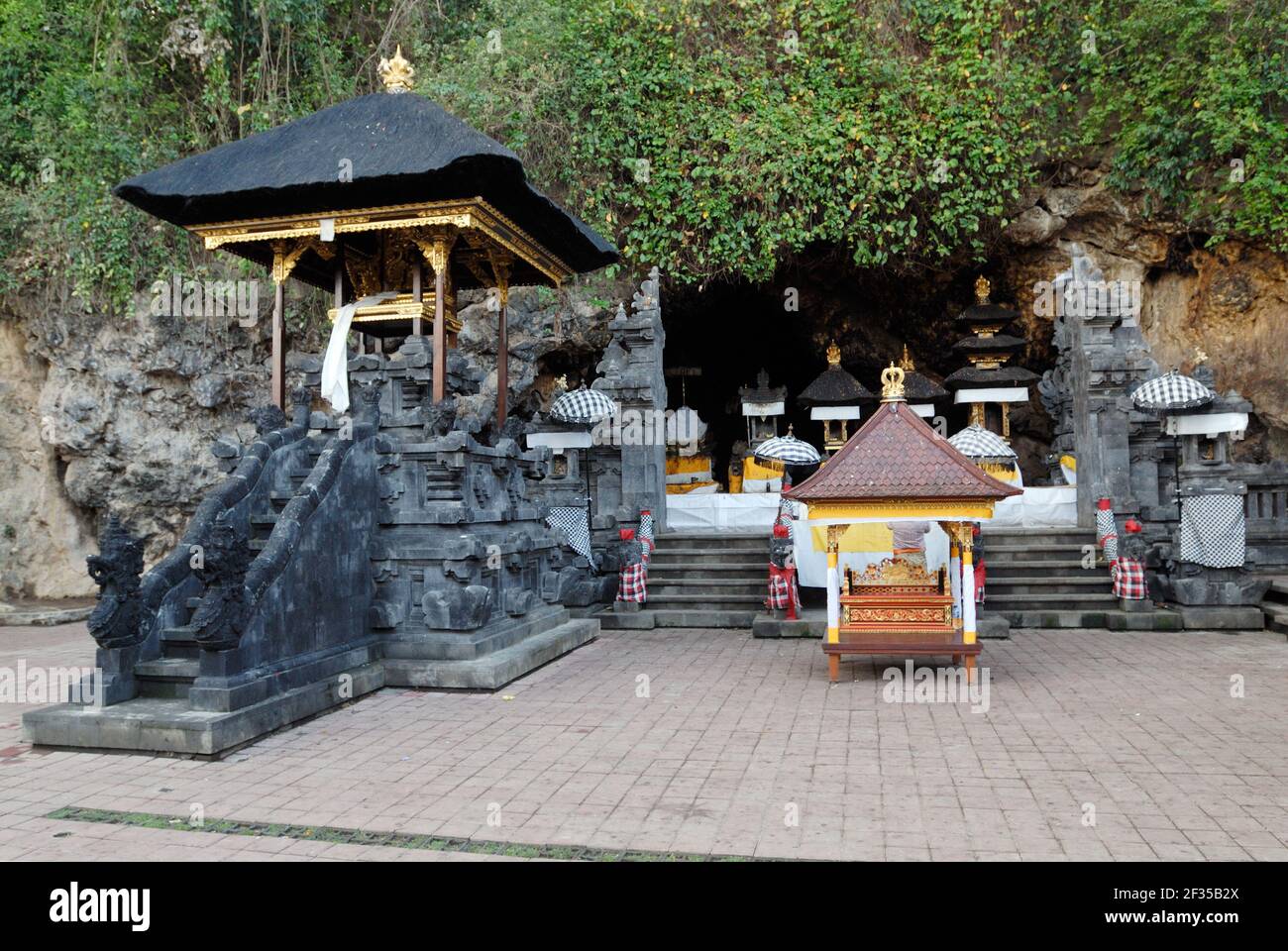 GEOFFREYS ROUSETTE BATS (ROUSETTUS AMPLEXICAUDATUS) HANGING IN SACRED ...