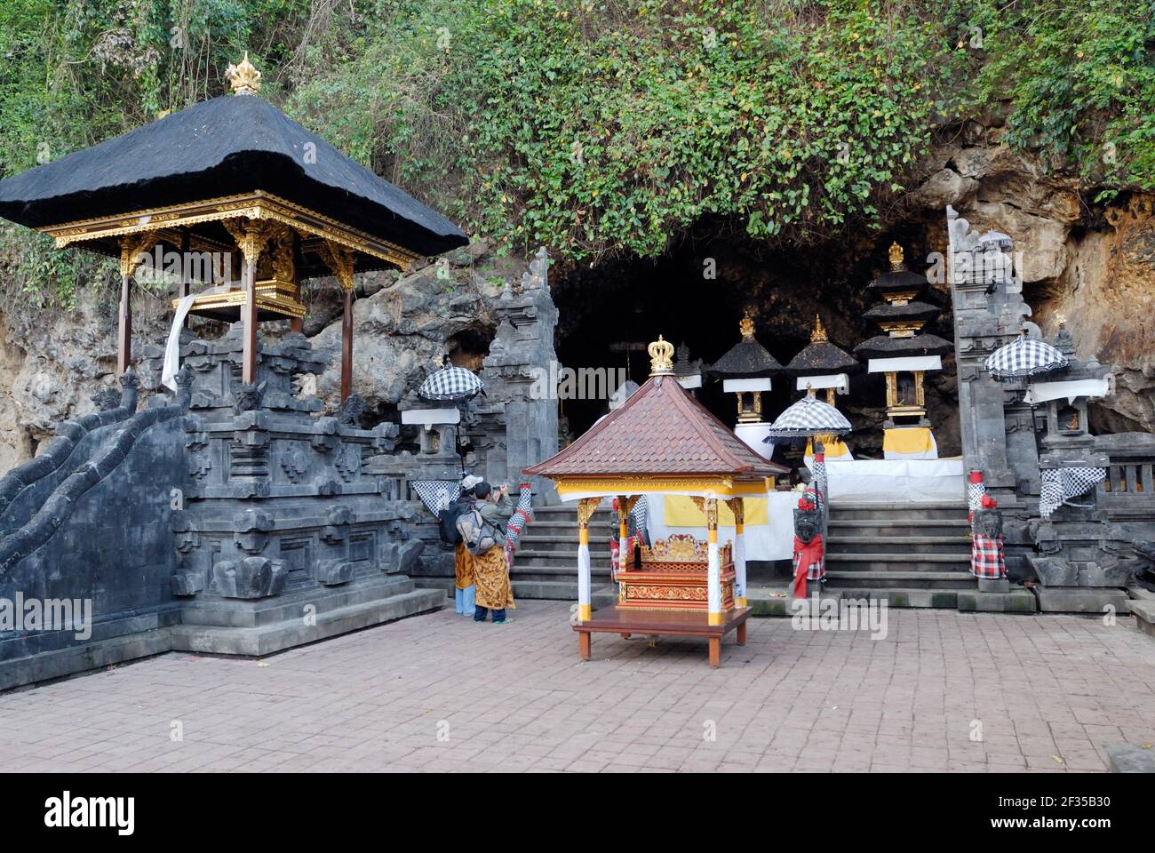 GEOFFREYS ROUSETTE BATS (ROUSETTUS AMPLEXICAUDATUS) HANGING IN SACRED ...