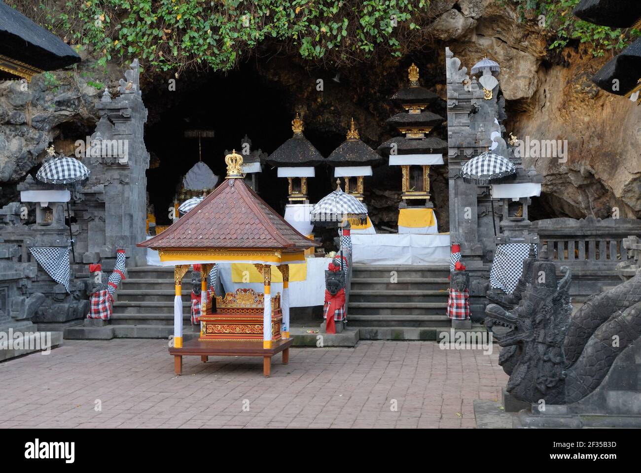GEOFFREYS ROUSETTE BATS (ROUSETTUS AMPLEXICAUDATUS) HANGING IN SACRED ...