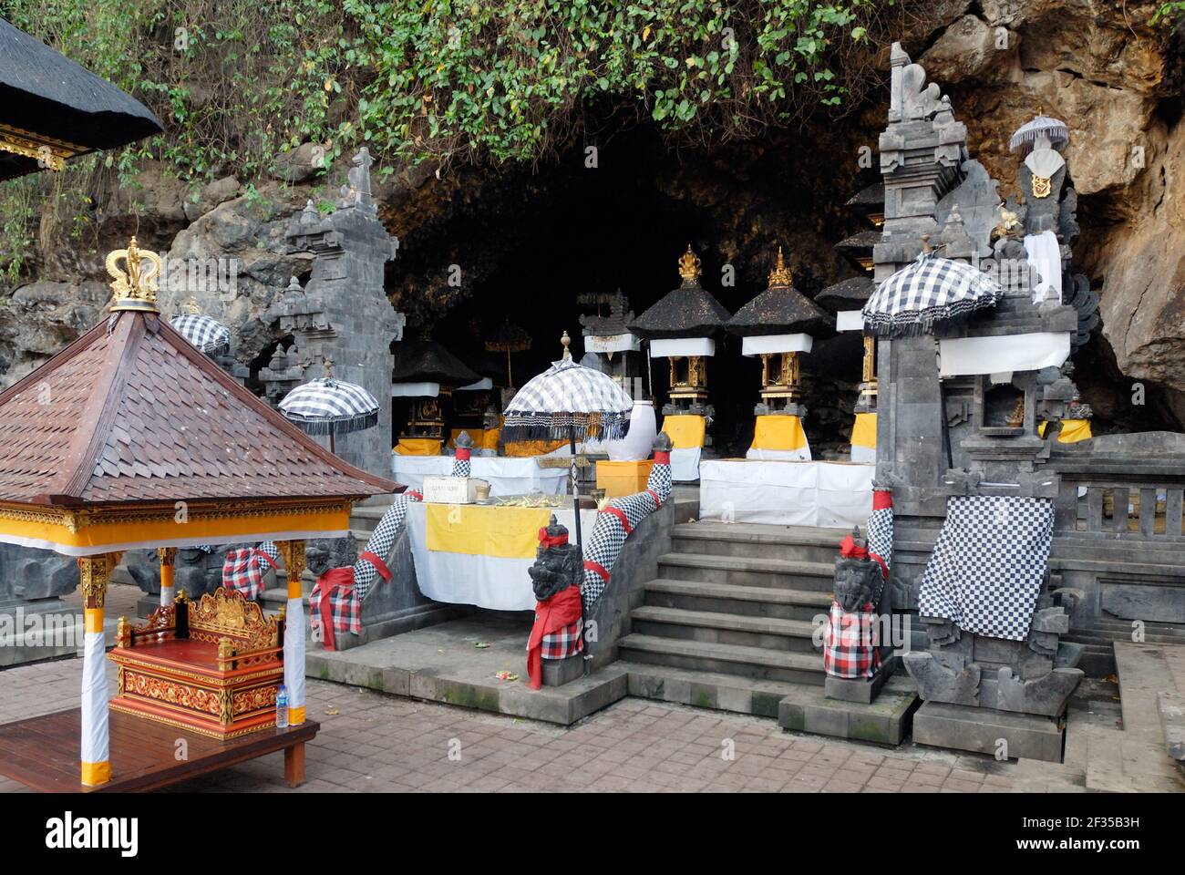 GEOFFREYS ROUSETTE BATS (ROUSETTUS AMPLEXICAUDATUS) HANGING IN SACRED ...