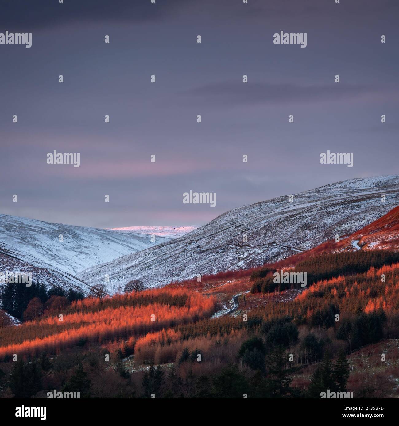 Campsie fells hi-res stock photography and images - Alamy
