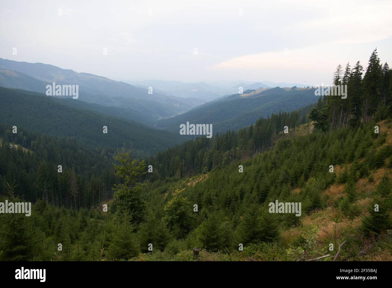 Rarau hi-res stock photography and images - Alamy