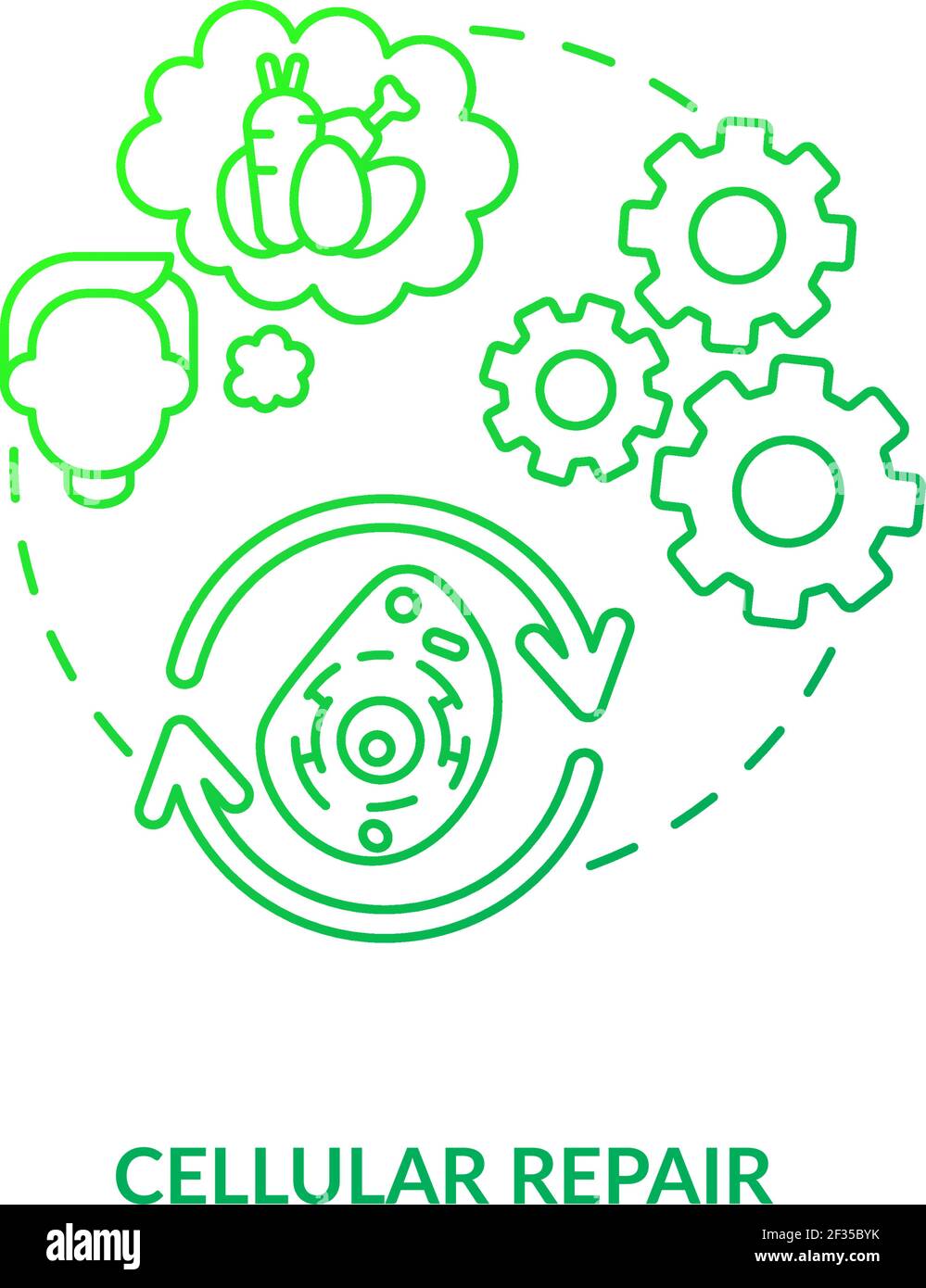 Cellular repair dark green concept icon Stock Vector Image & Art - Alamy