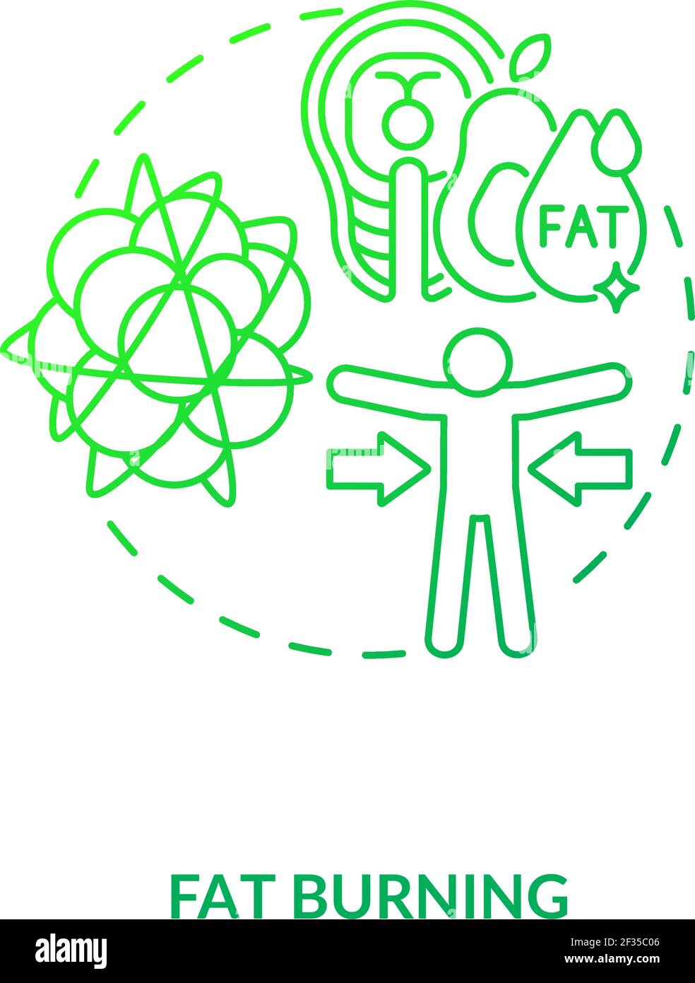 Fat burning dark green concept icon Stock Vector Image & Art - Alamy