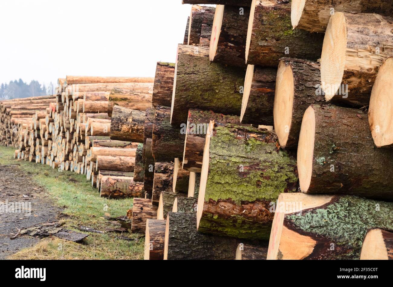 Germany German Cross Section High Resolution Stock Photography and ...