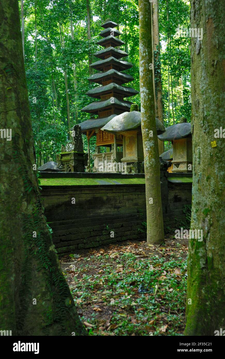 Sangeh, Pura Bukit Sari Temple; Temple of the monkeys; Bali, Indonesia ...